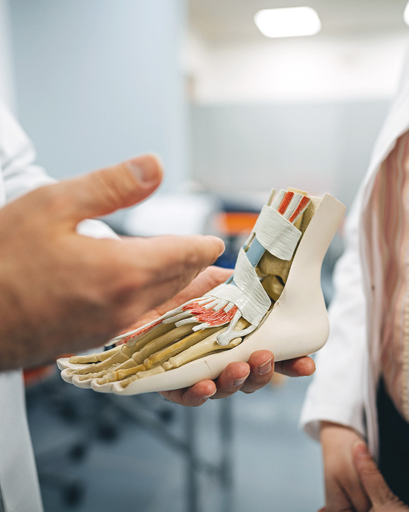Foot Orthopaedics I Orthopaedics I St Vincent’s Private Hospitals